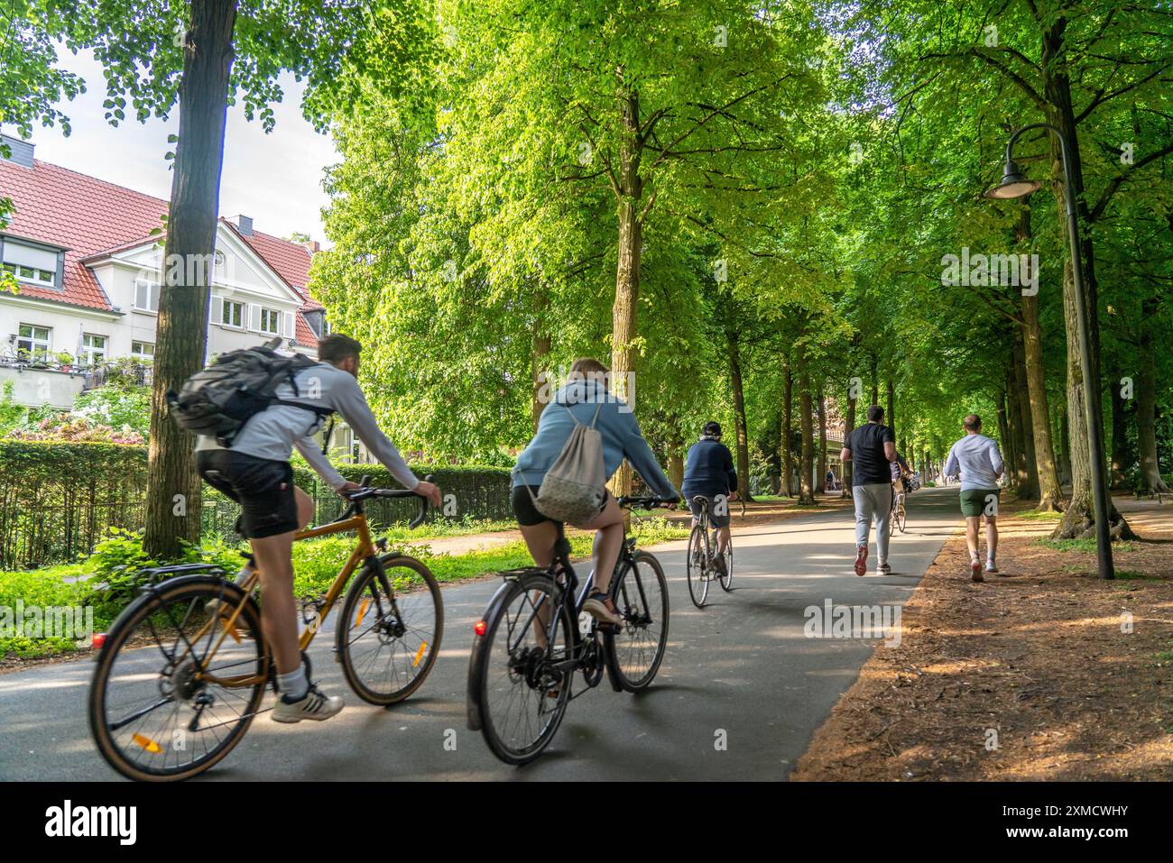 Promenade cycle path, tree-lined, car-free, approximately 4.5 km long ...