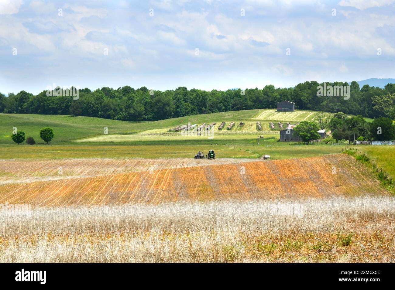 Farmer discs fields as he readies for planting. Farm is in Tennessee ...