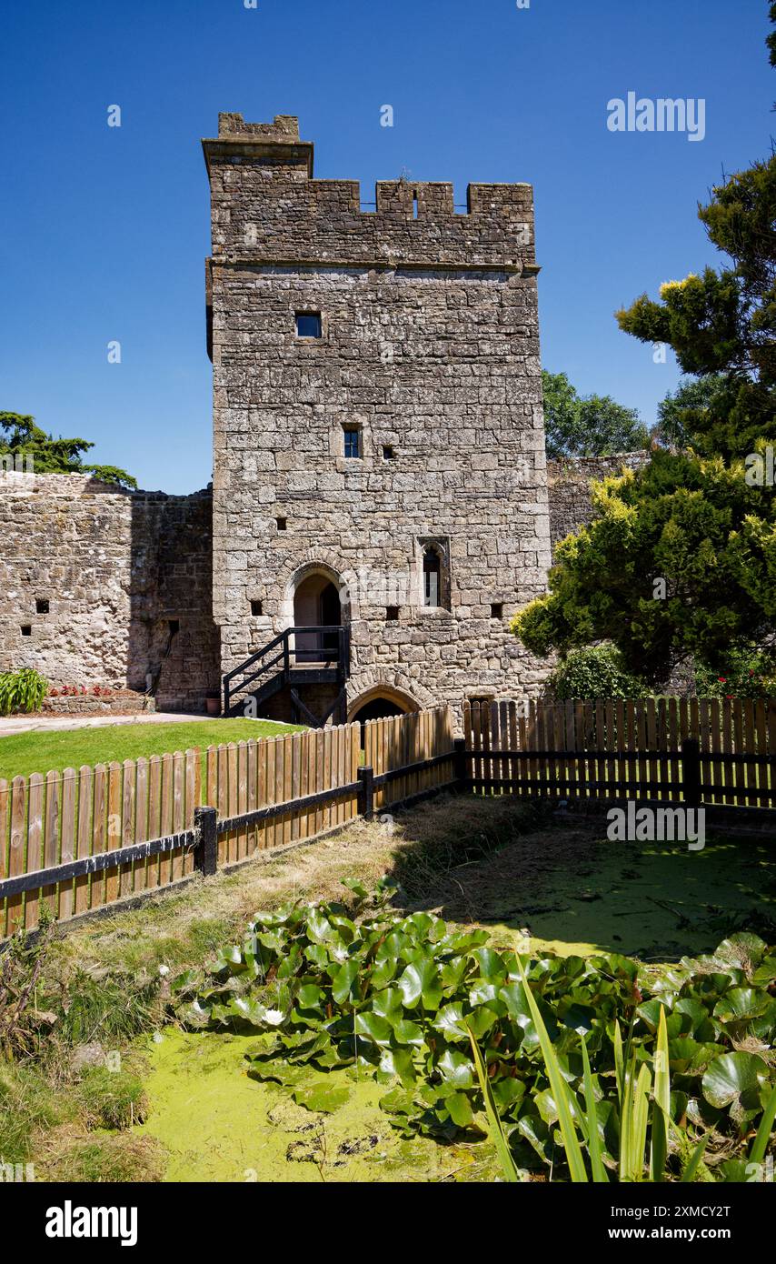 Caldicott Castle basks in the Welsh Summer Sun Stock Photo - Alamy