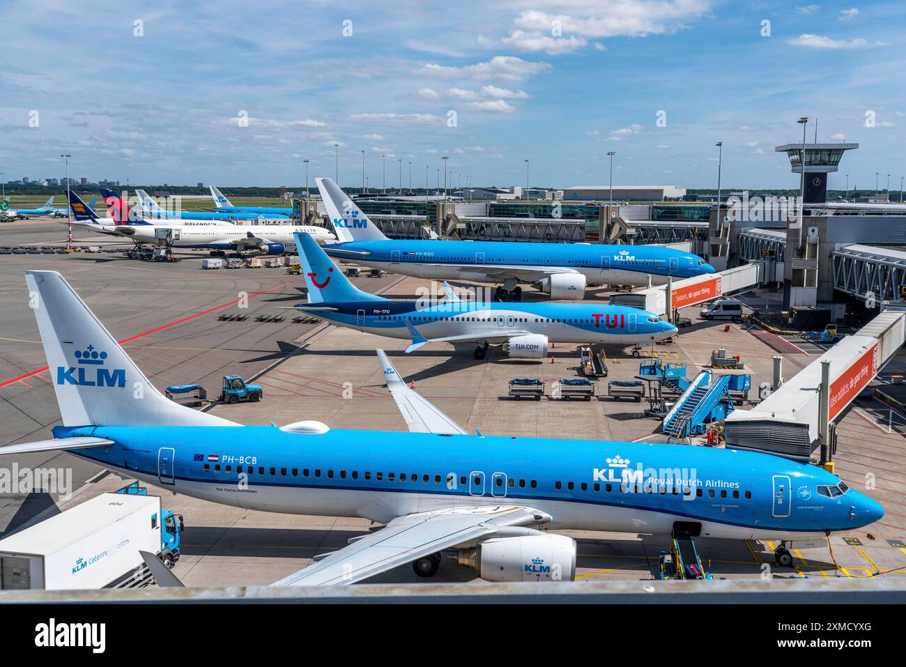 Amsterdam Schiphol Airport, aircraft at terminal, Gates D, check-in ...