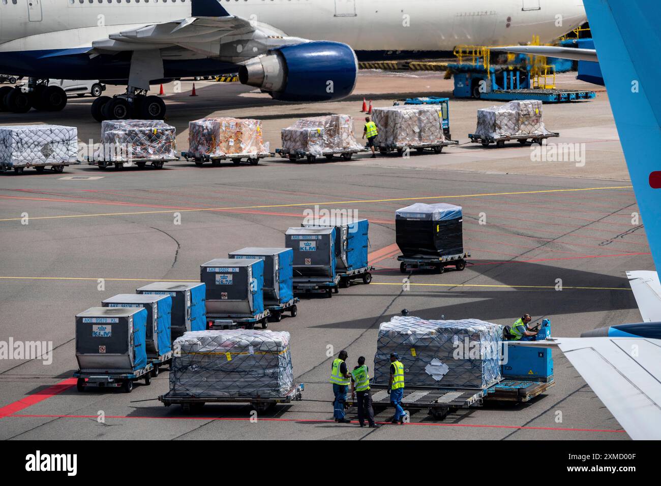 Amsterdam Airport Schiphol, aircraft at terminal, Gates D, check-in ...