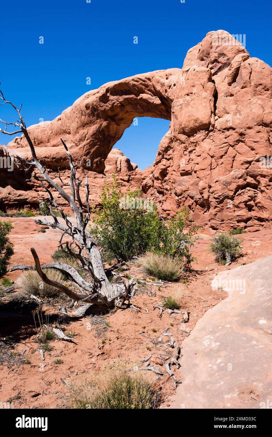 South Window Arch in the Windows section of Arches National Park - Moab ...