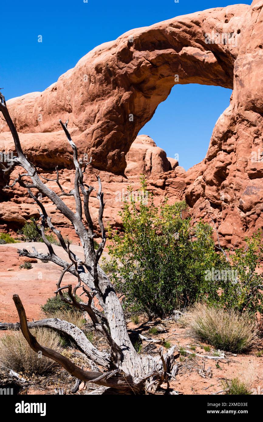 Rock arches windows section hi-res stock photography and images - Alamy