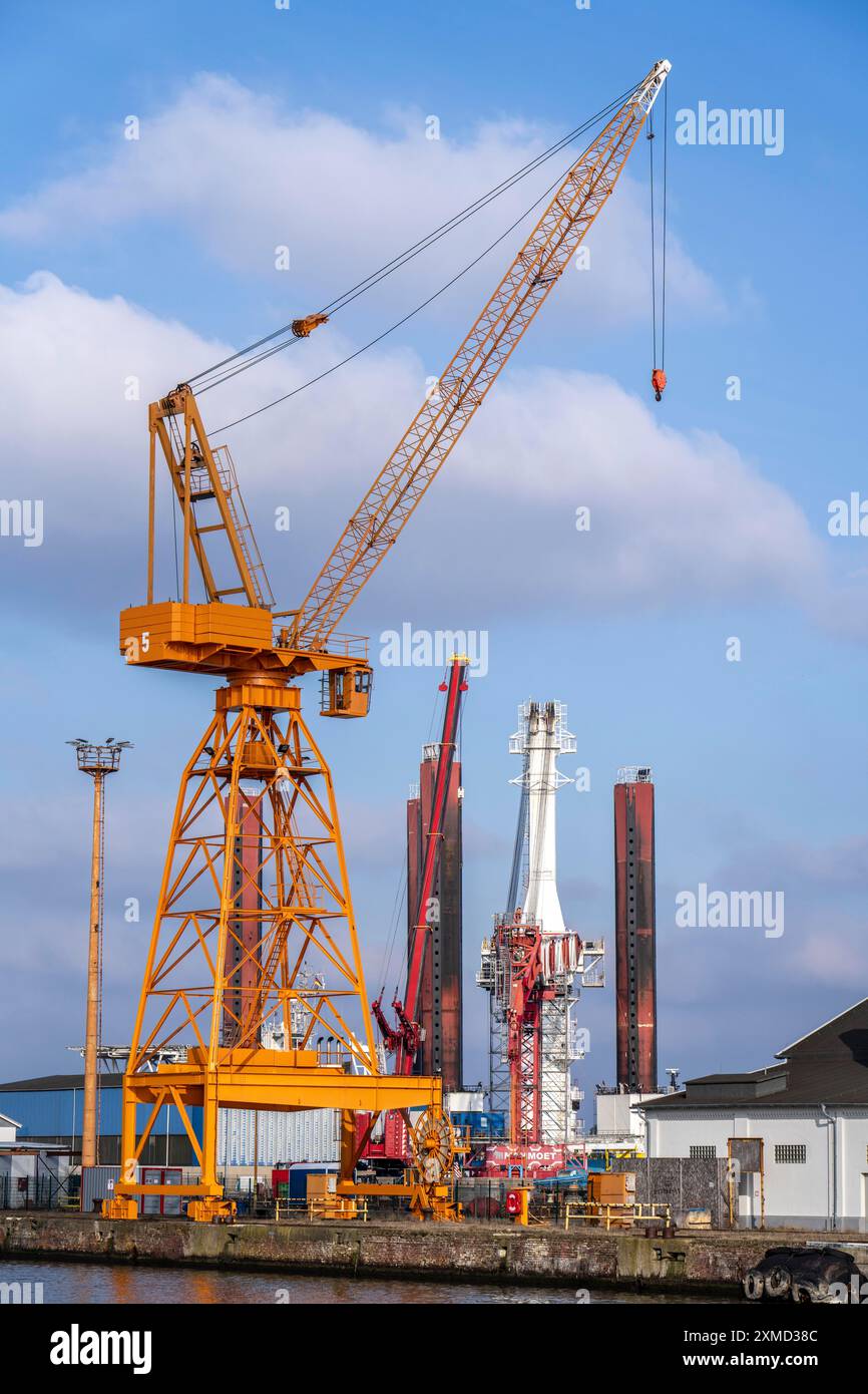 Lloyd Werft, shipyard in the overseas harbour of Bremerhaven, work on ...