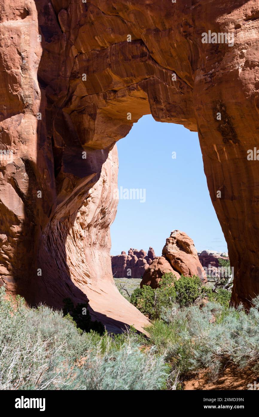 Pine Tree Arch in Arches National Park - Moab, Utah, USA Stock Photo ...