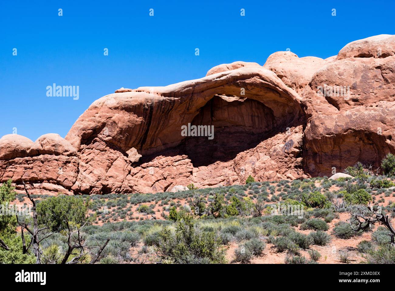 The Parade of Elephants rock formation at the Windows section of Arches ...