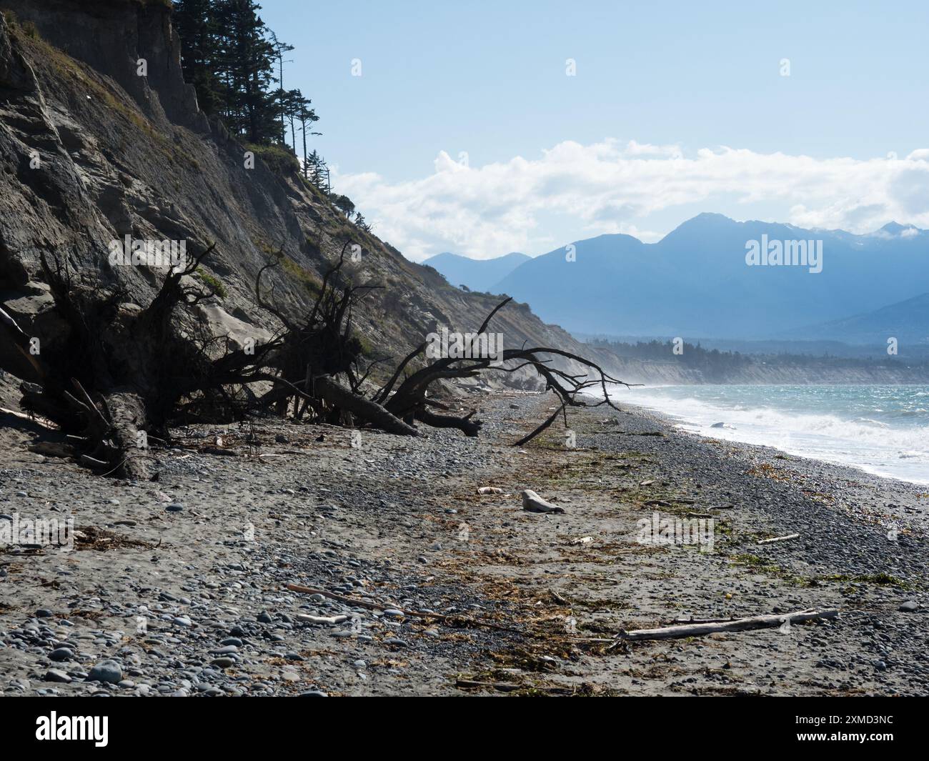 Scenic beach in Dungeness Wildlife Refuge - Olympic peninsula ...