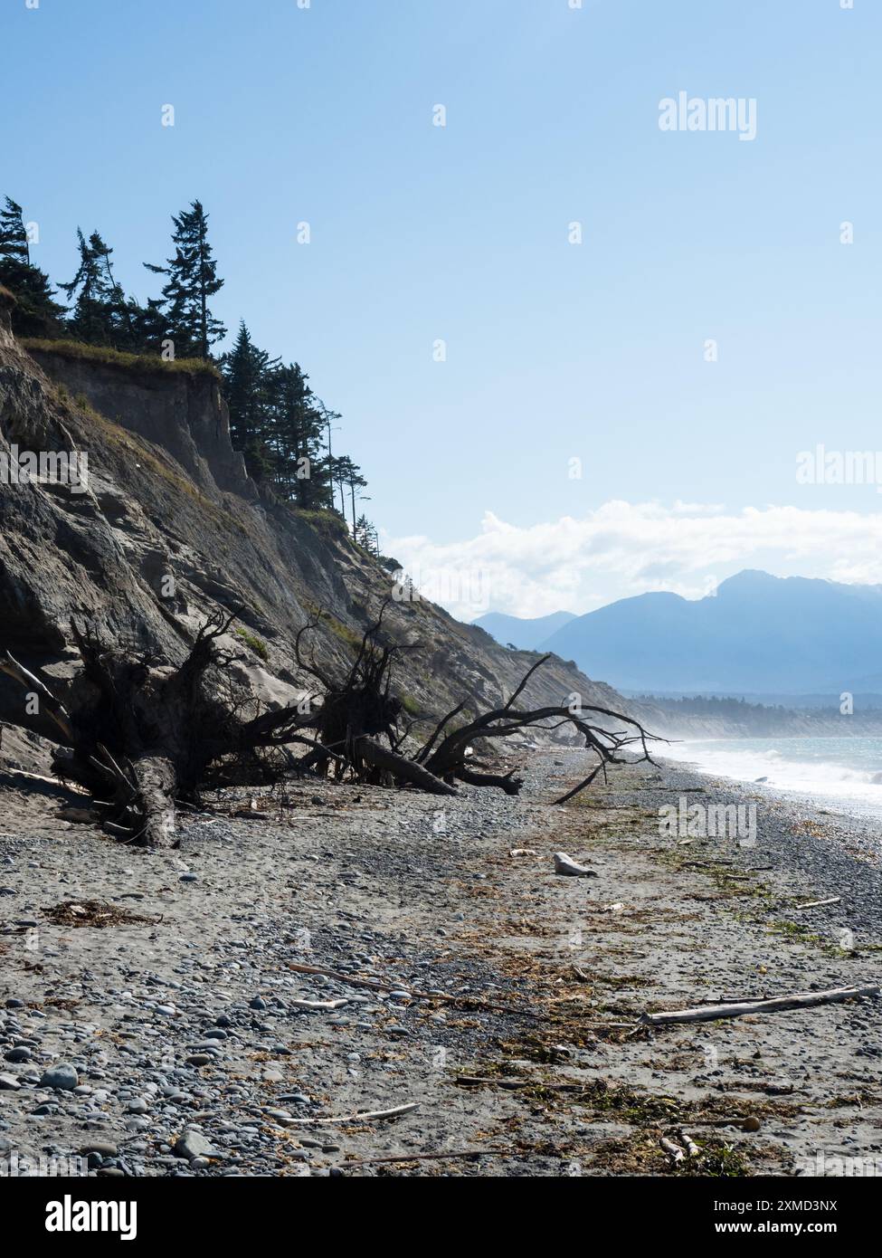 Scenic beach in Dungeness Wildlife Refuge - Olympic peninsula ...