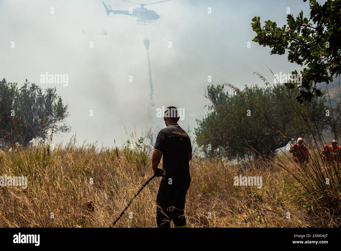 A member of the forest guard is seen with a pump hose pipe during the ...