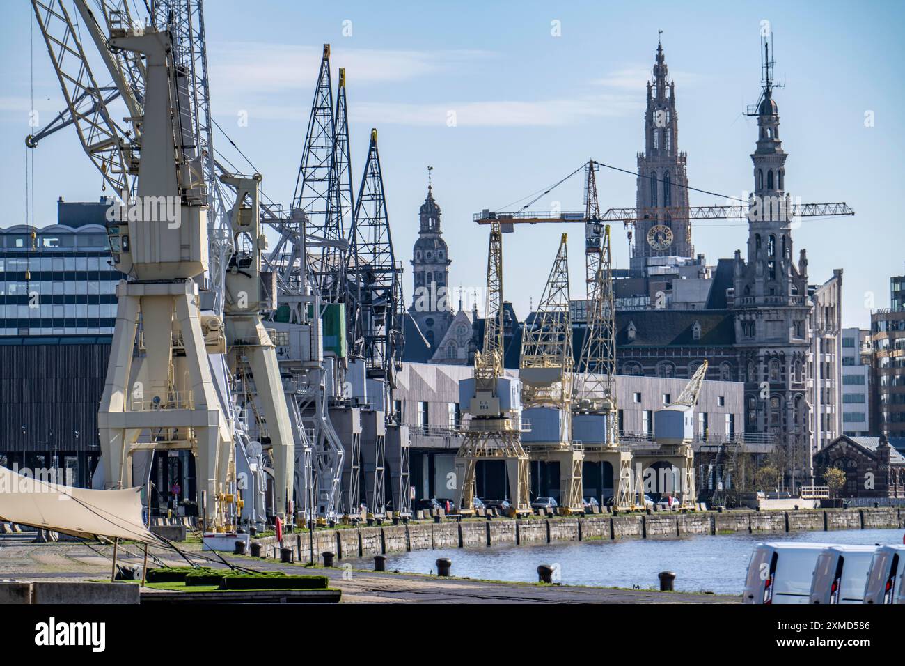 Harbour cranes on the Scheldekai, the world's largest collection of ...