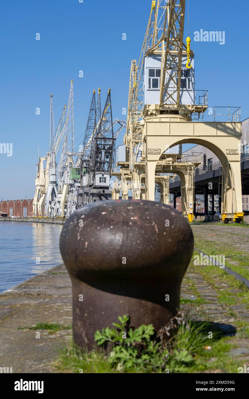 Harbour cranes on the Scheldekai, the world's largest collection of ...