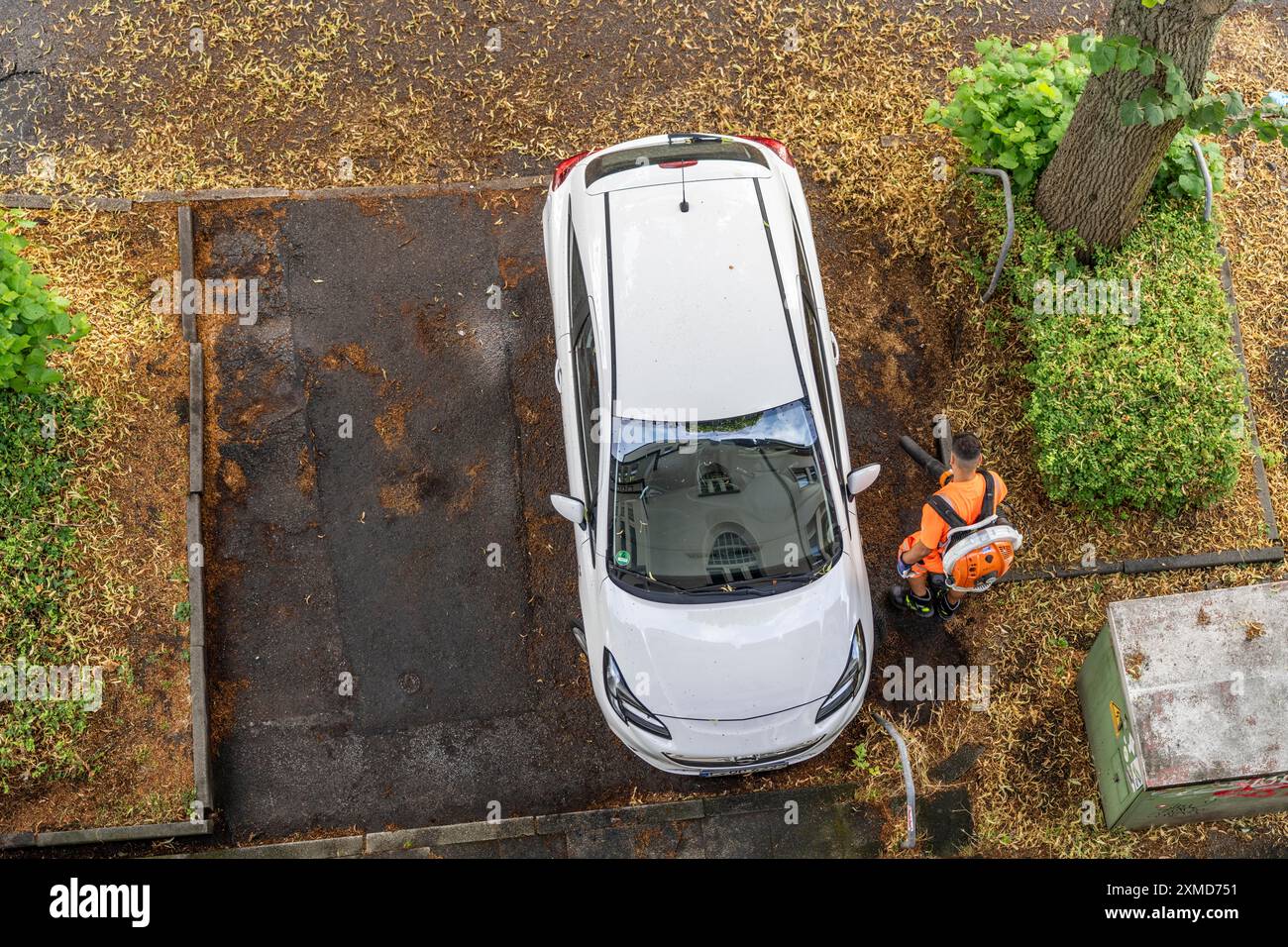 Street cleaning, an employee of the municipal city cleaning service ...