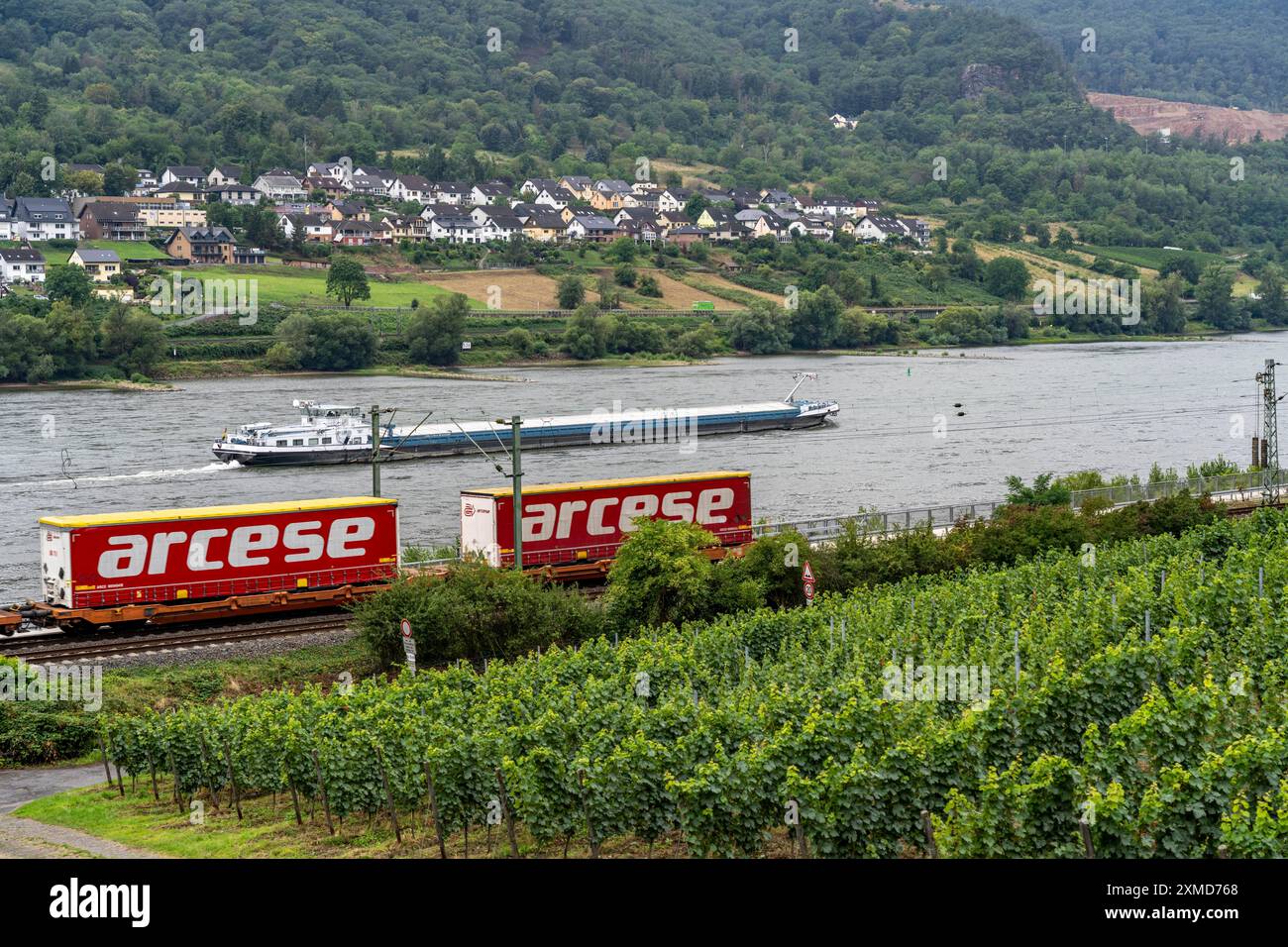 Upper Middle Rhine Valley, railway line on the right bank of the Rhine ...
