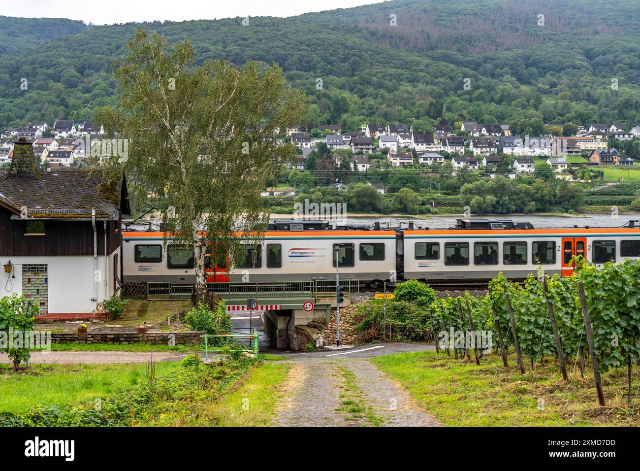 Upper Middle Rhine Valley, railway line on the right bank of the Rhine ...