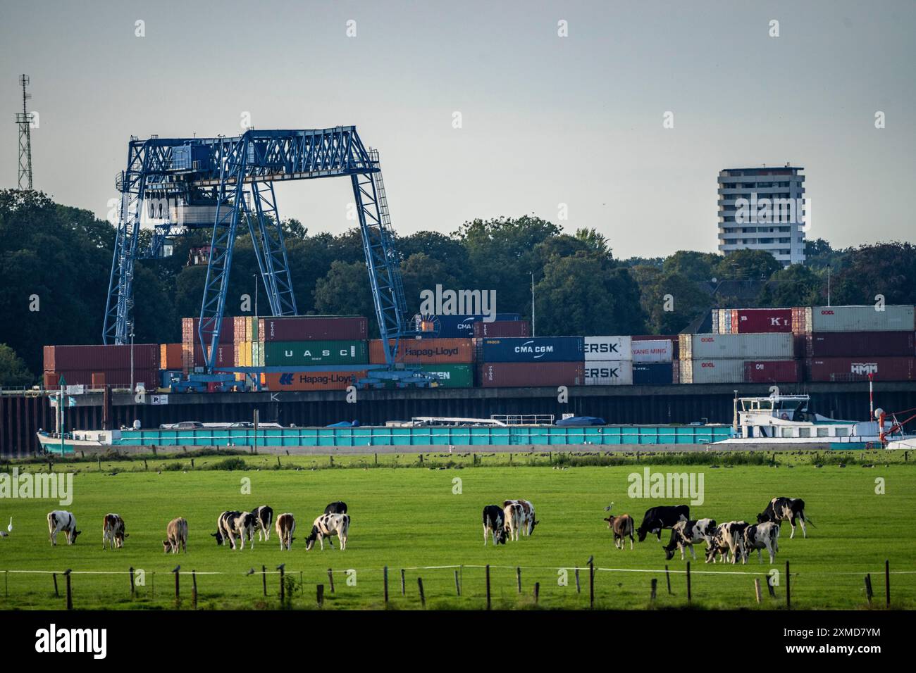 Terminal deltaport container hi-res stock photography and images - Alamy