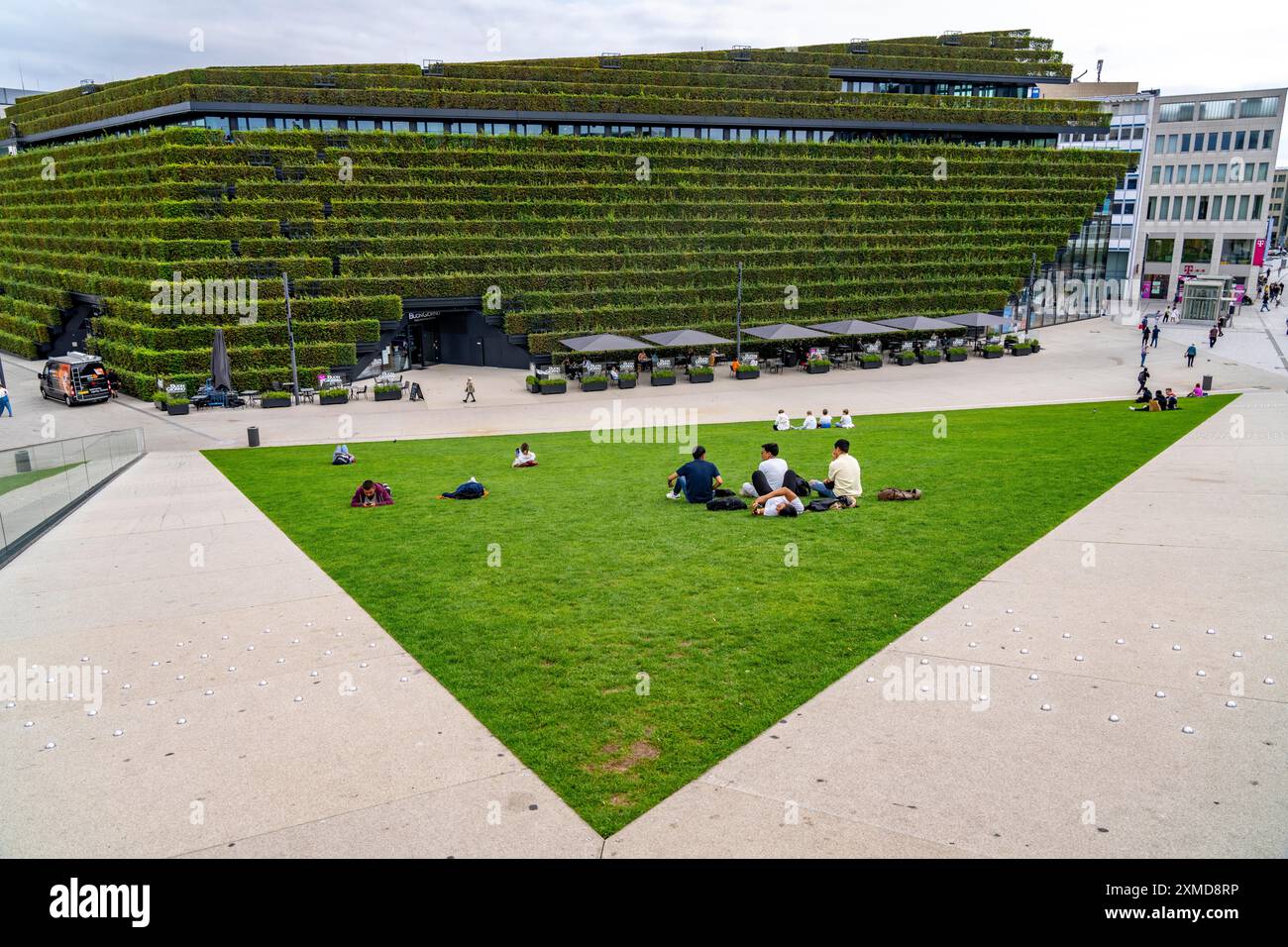Green facade, consisting of over 30, 000 hornbeams forming a hedge a ...