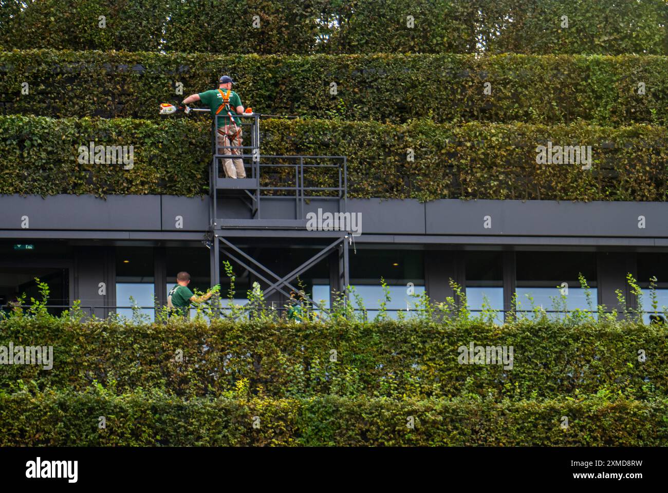 Green facade, made of over 30, 000 hornbeams forming a hedge a good 8 ...