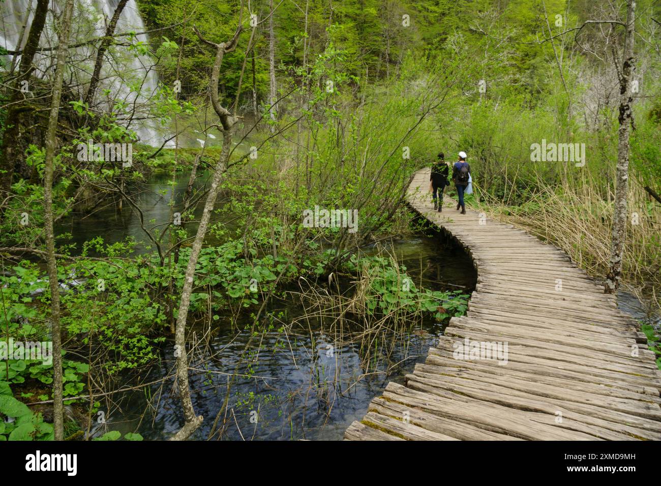 Hiking trail with walkways, Plitvice Lakes National Park, UNESCO World ...