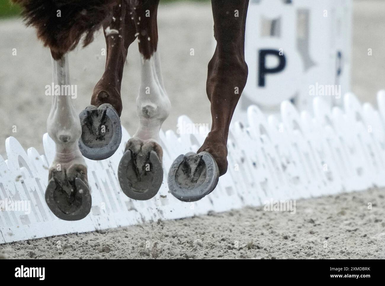 Switzerland's Felix Vogg and his horse Ocean Dao during the Equestrian ...
