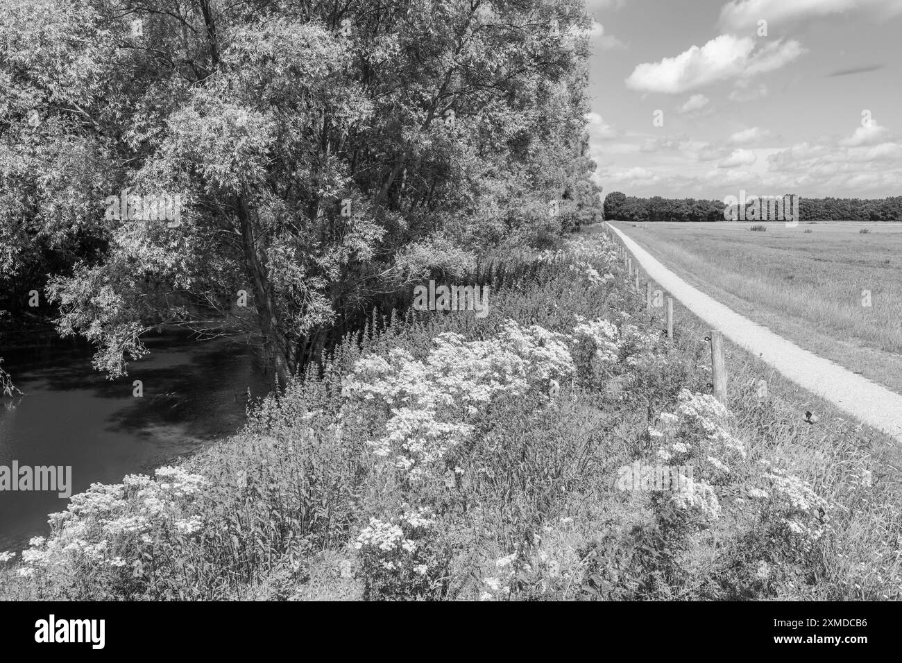 the city of Borculo in the dutch gelderland Stock Photo - Alamy
