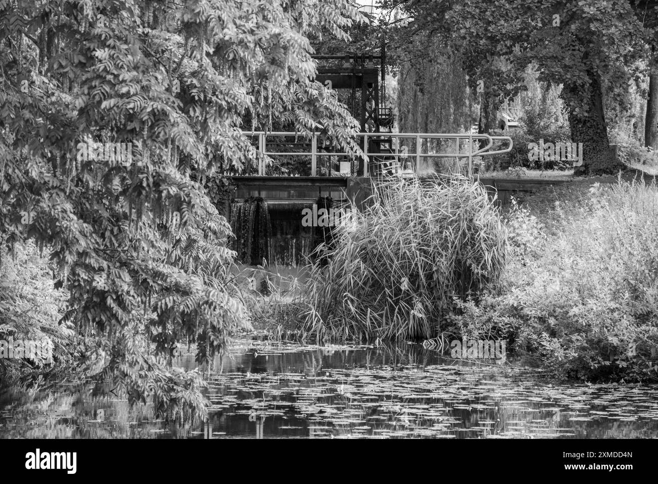 the city of Borculo in the dutch gelderland Stock Photo - Alamy