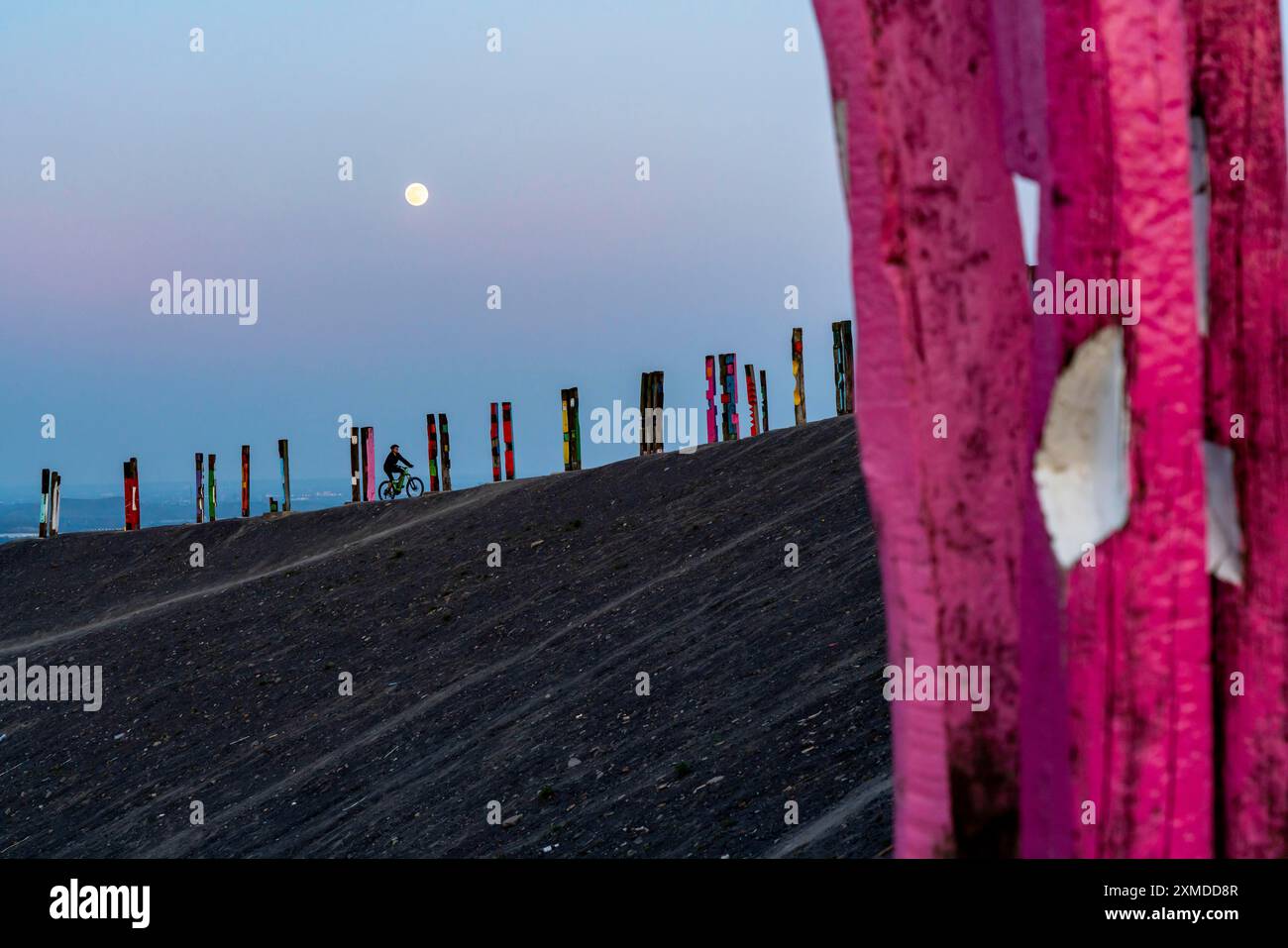 The Haniel spoil tip, 185 metre high spoil tip, at the Prosper Haniel ...