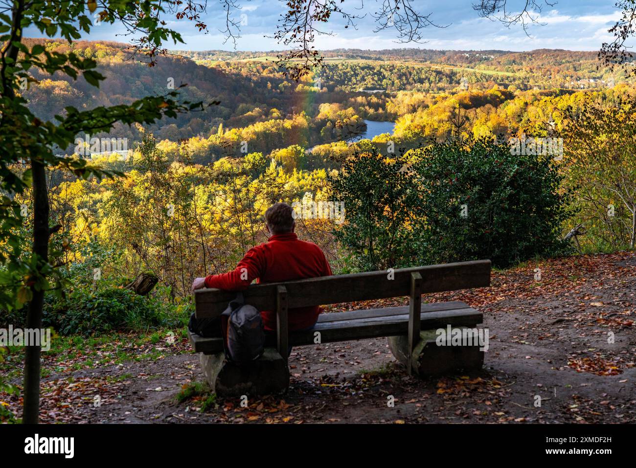 Autumnal forest along the Ruhr Valley between Essen-Kettwig and Essen ...