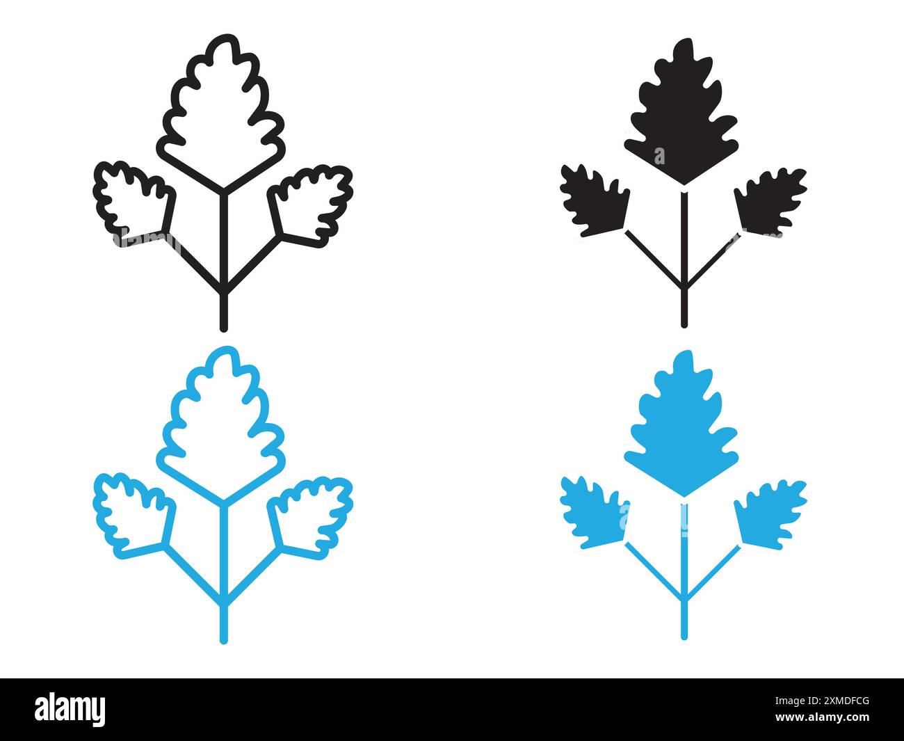 Mark parsley hi-res stock photography and images - Alamy