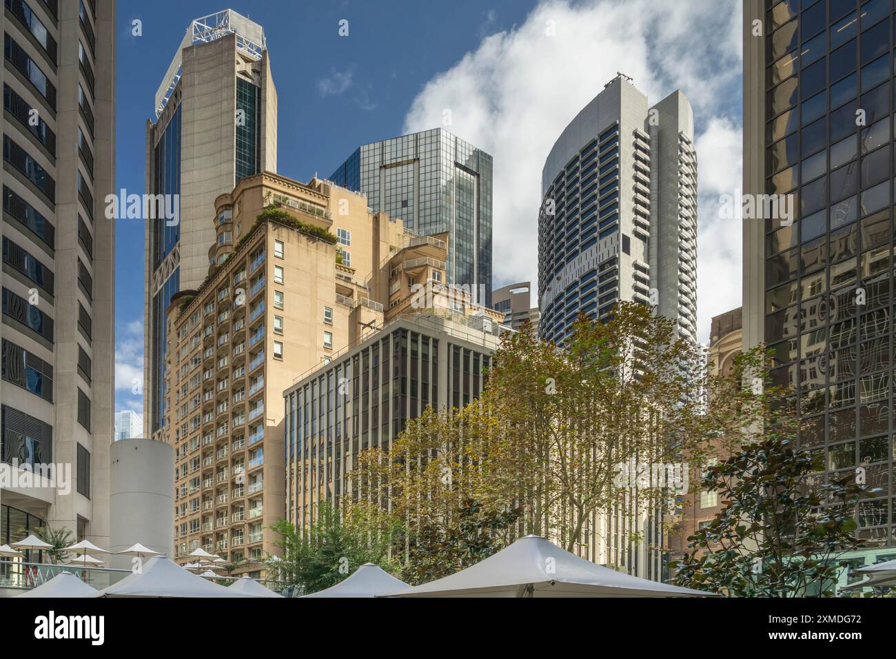 HIgh rise office buildings in the Central Business District of Sydney ...