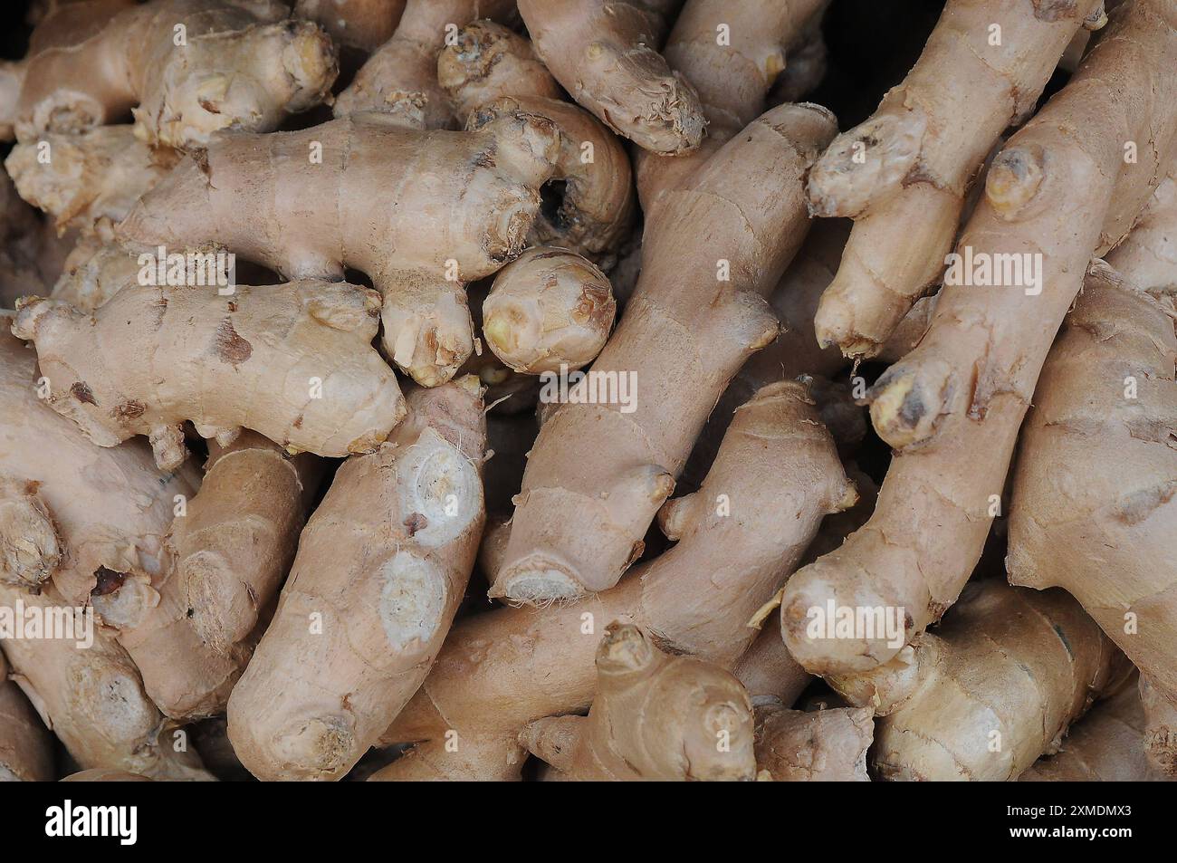 Copenhagen/ Denmark/27 July 2024/ Ginger veg for sale at food market in ...