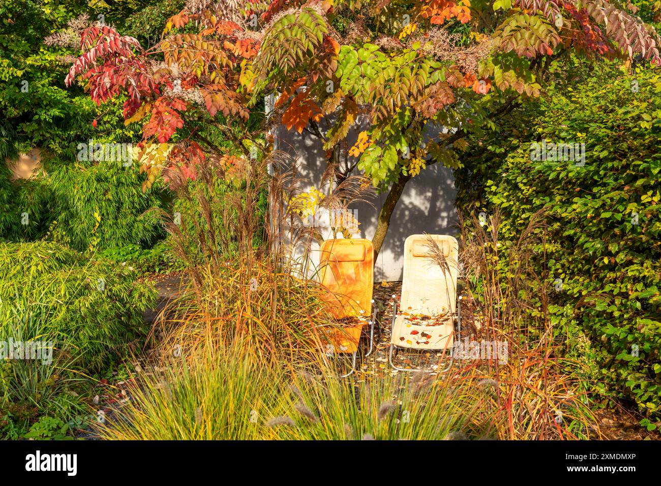 Model gardens in Grugapark, autumn, horticultural design of different ...