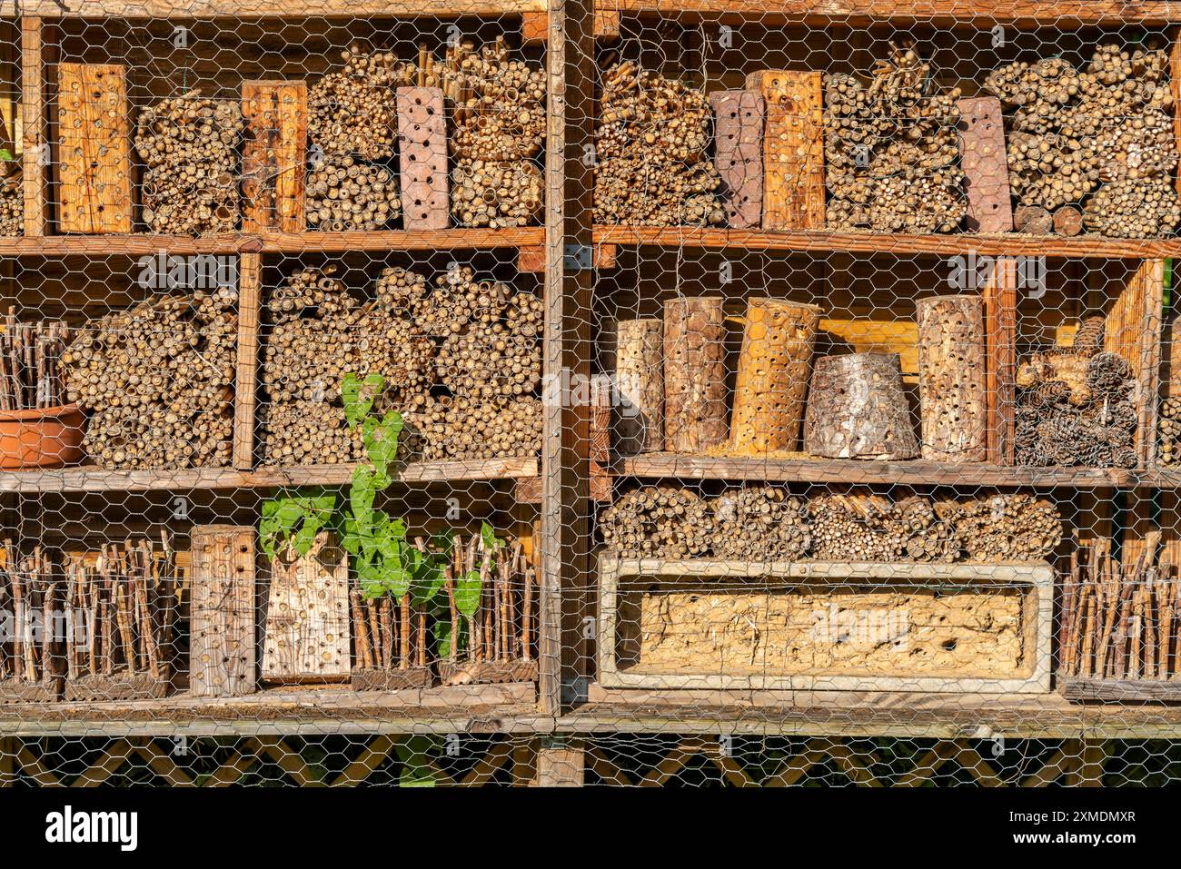 Model gardens in Grugapark, garden at the House of Bees, insect hotel ...