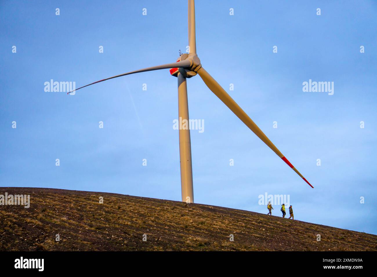 Wind turbine, by Enercon, on the Mottbruchhalde, in Gladbeck-Brauck ...