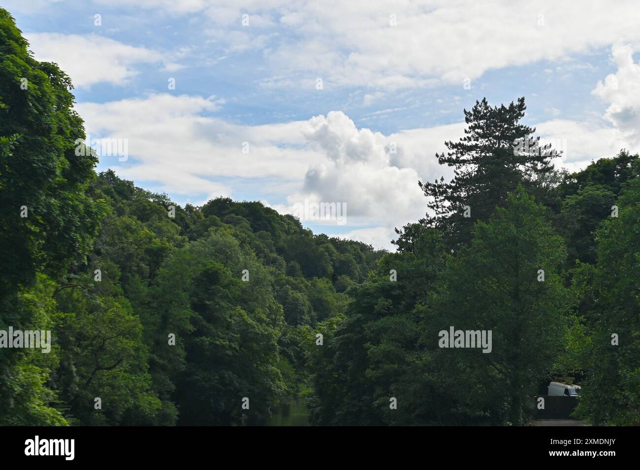 Bright greenery hi-res stock photography and images - Alamy