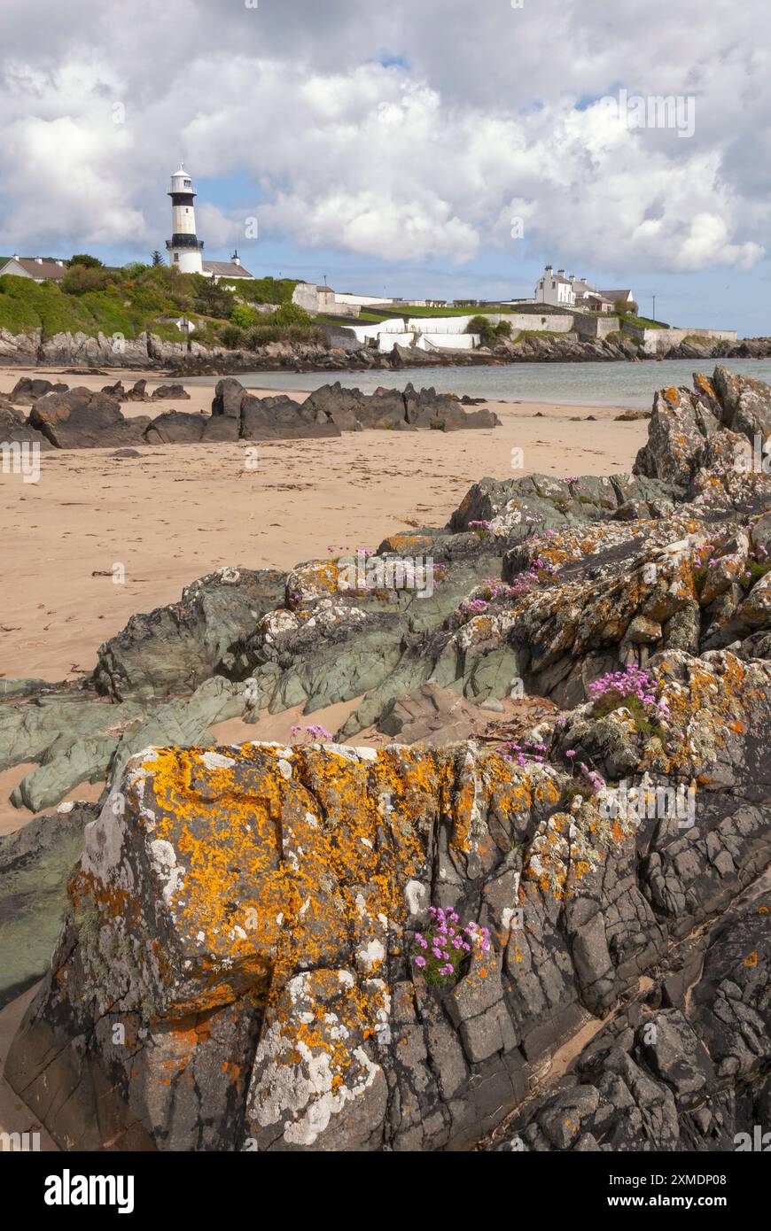 Ireland, County Donegal, Inishowen Peninsula, Dunagree Point Lighthouse ...
