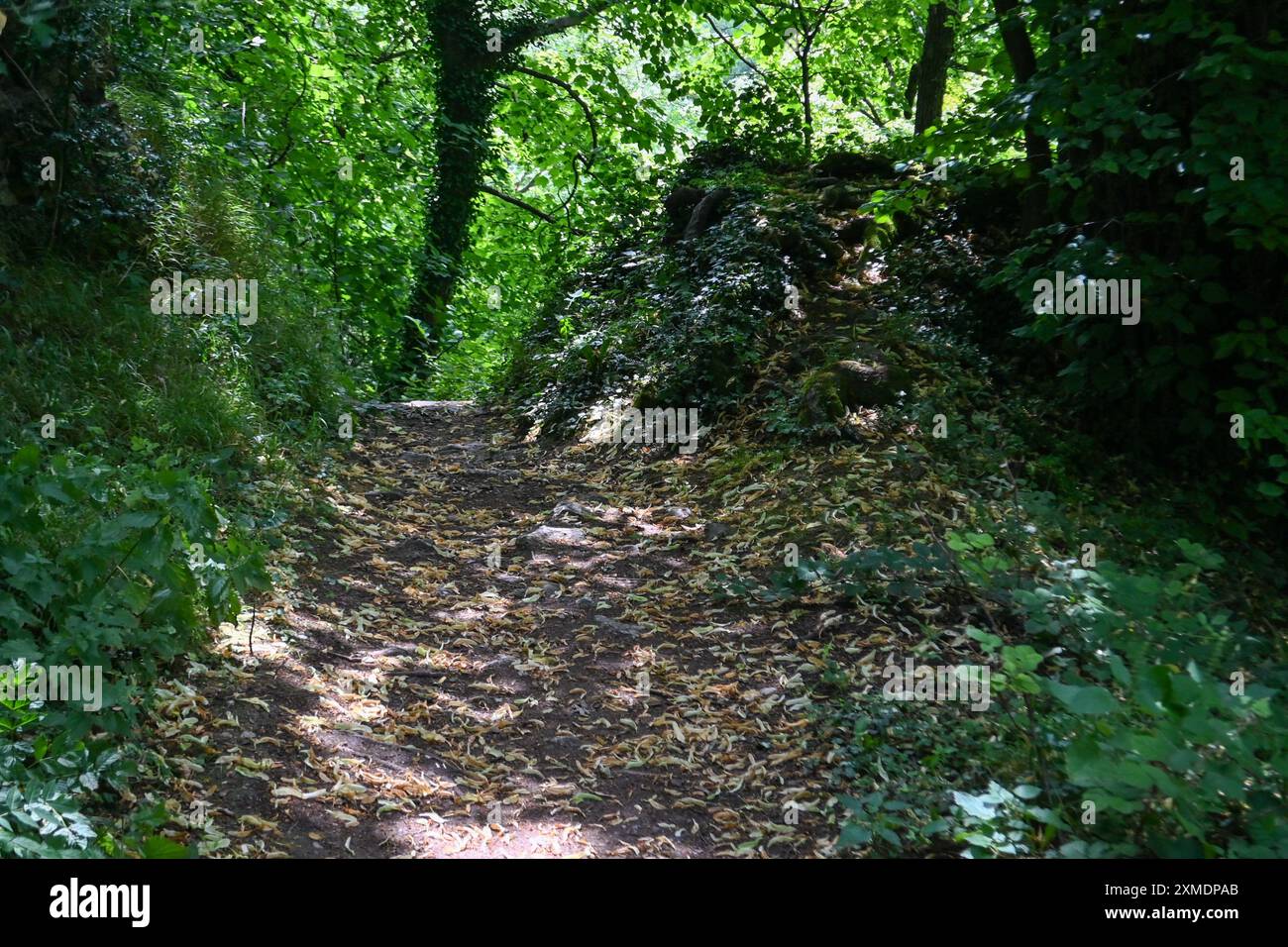 Outdoor footpath hi-res stock photography and images - Alamy