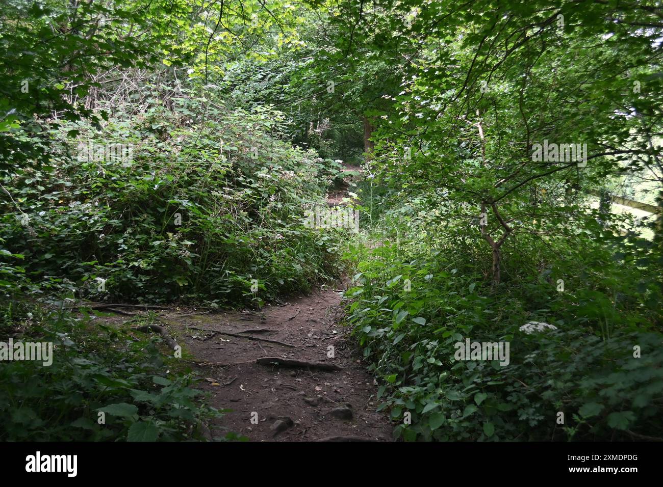 Visit path hi-res stock photography and images - Alamy