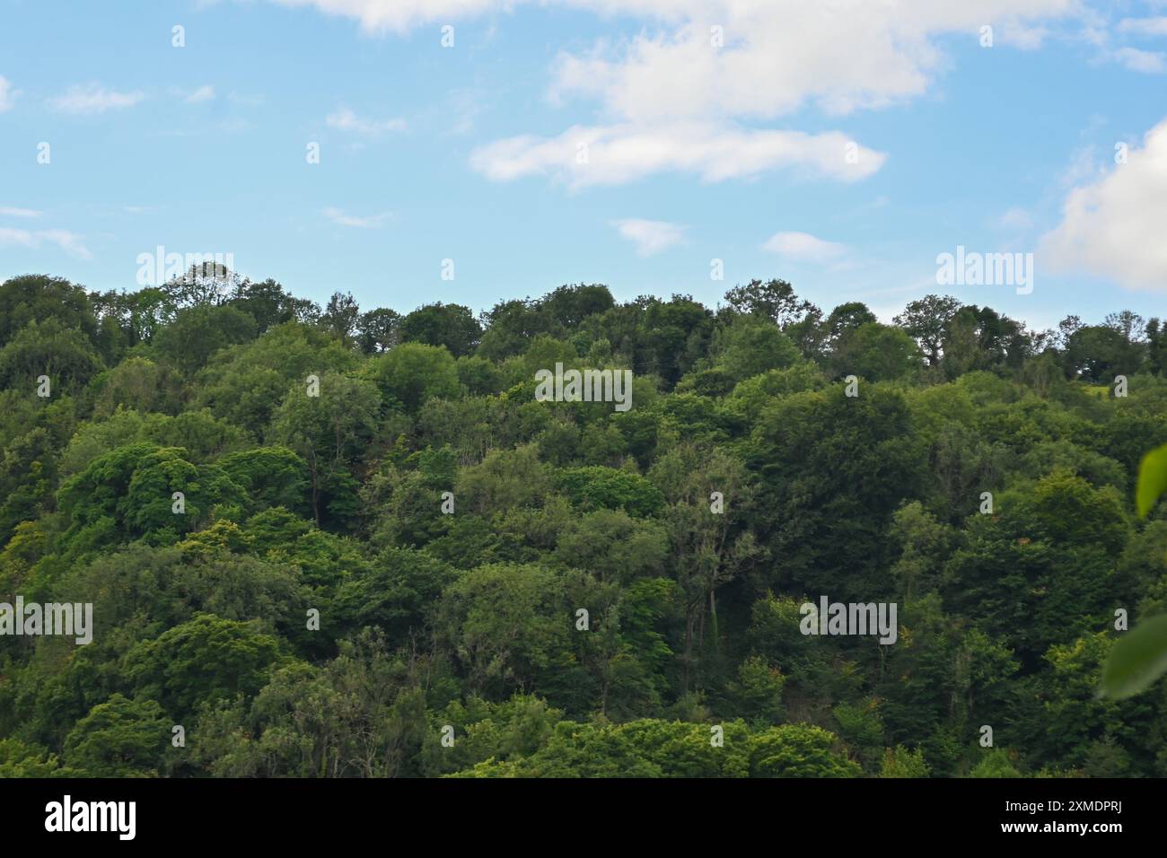Less vegetation hi-res stock photography and images - Alamy
