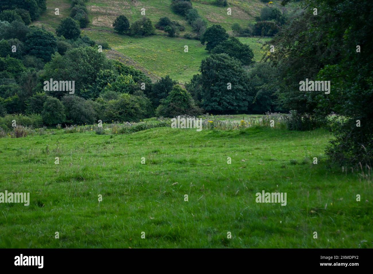 Nice places to visit hi-res stock photography and images - Alamy