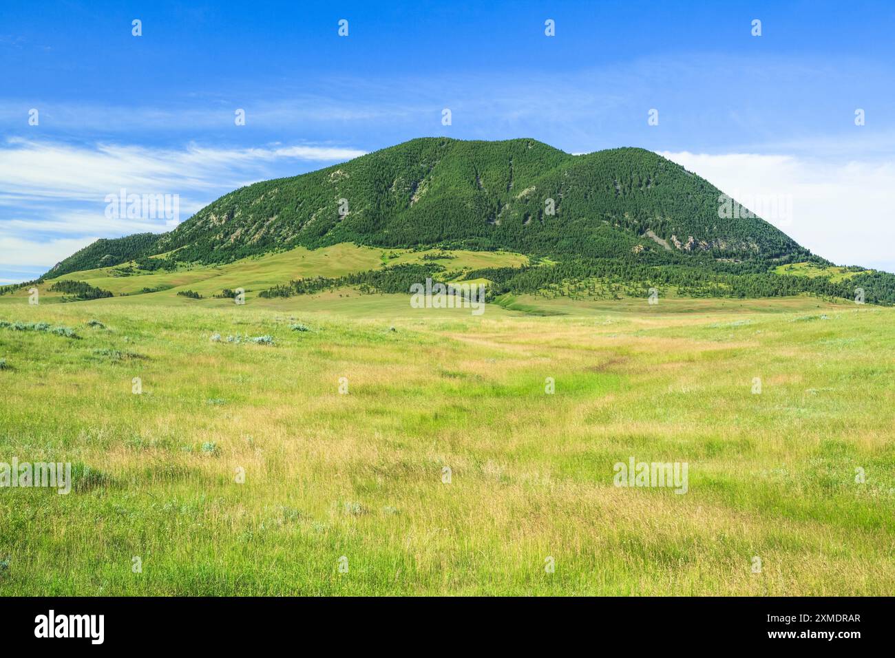 black butte above the prairie near roy, montana Stock Photo - Alamy