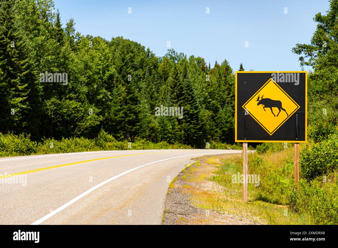 Moose awareness sign along highway 60 in Algonquin Park in Ontario ...