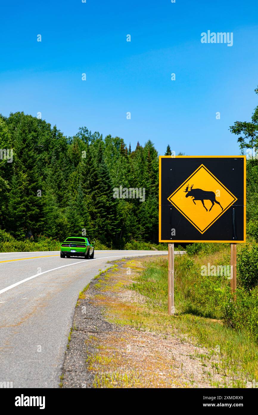 Moose awareness sign along highway 60 in Algonquin Park in Ontario ...