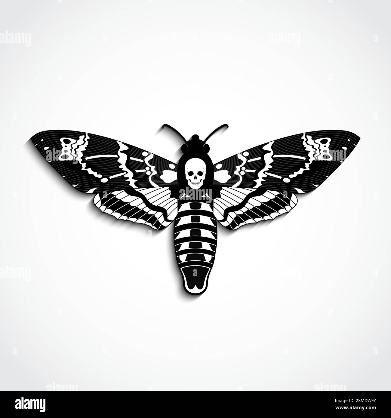 Skull moth black white illustration hi-res stock photography and images ...