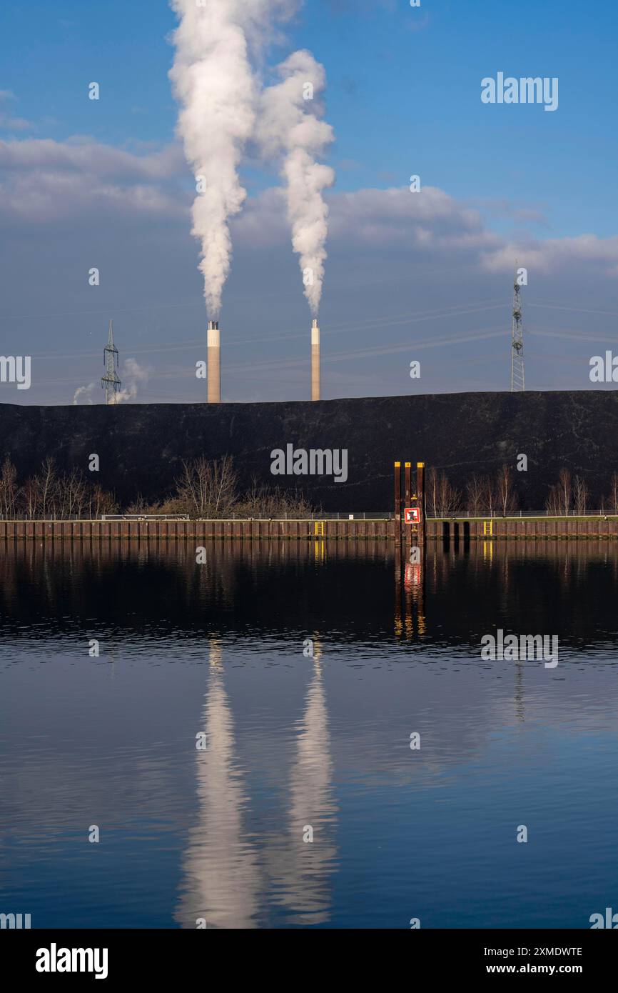 Coal stockpile, coal store, steam coal, for the STEAG Herne thermal ...