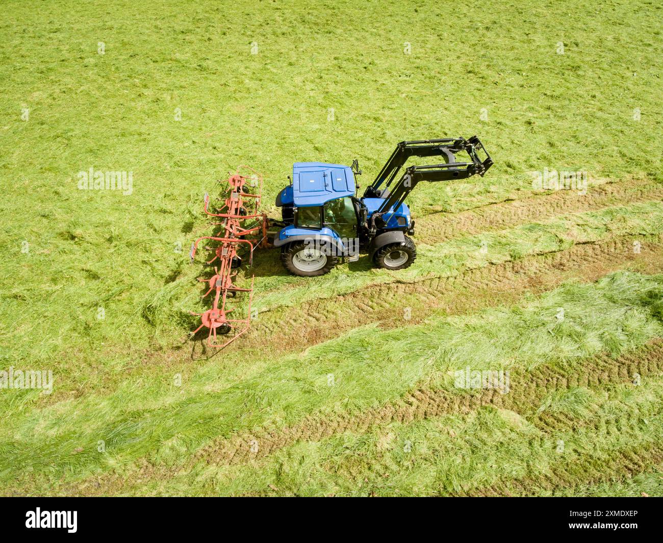 Gras schwaden für Heu oder Grassilage. In Deutschland wir das meiste ...