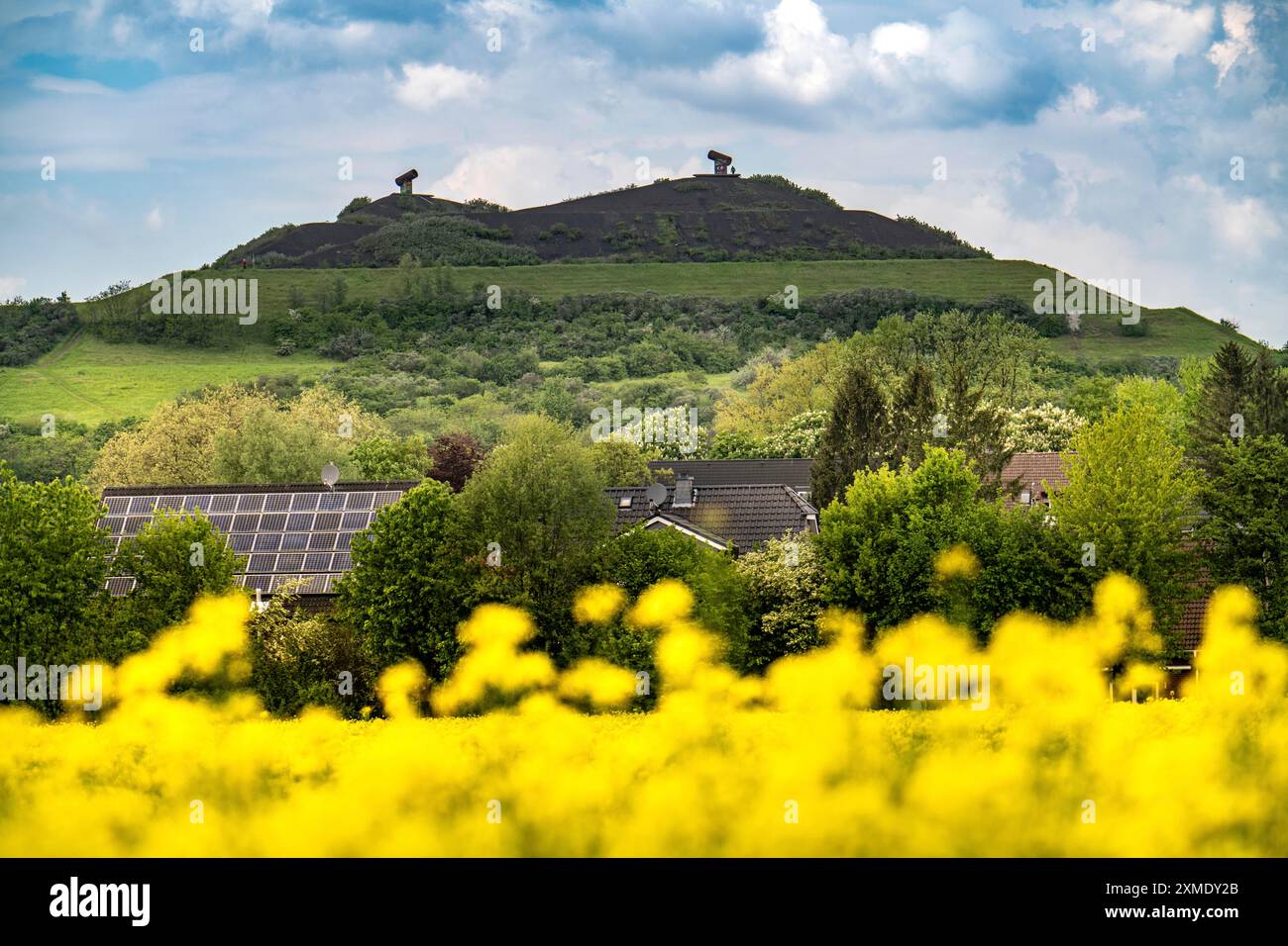 Rungenberg slag heap in the Buer district, night sign light ...
