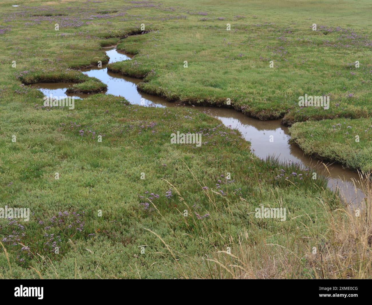Orford Ness, the largest shingle spit in Europe, is a nature reserve of ...