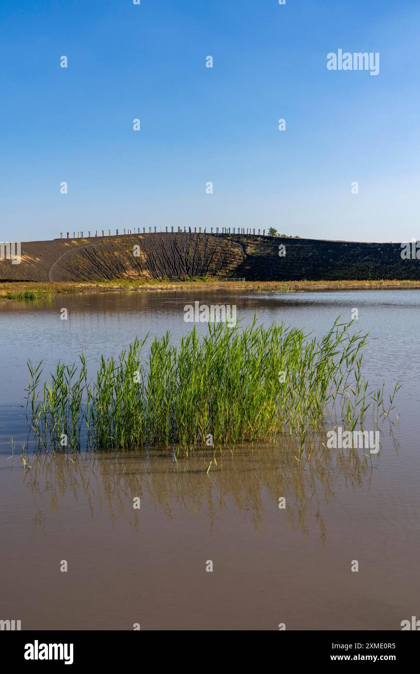 The Haniel spoil tip, 185 metre high spoil tip at the Prosper Haniel ...