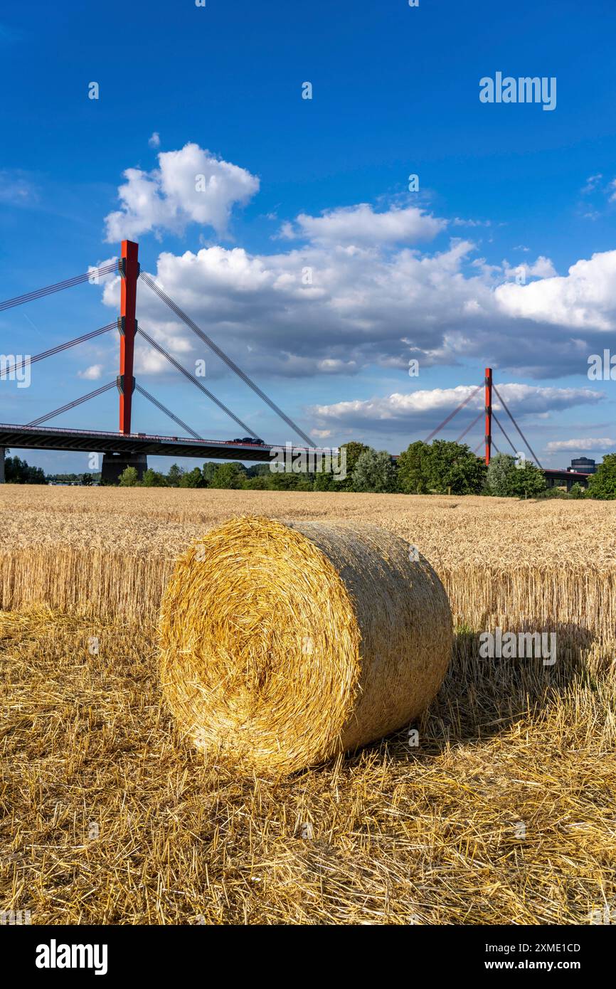 Grain field, harvested, straw bales, near Duisburg-Baerl, behind the ...