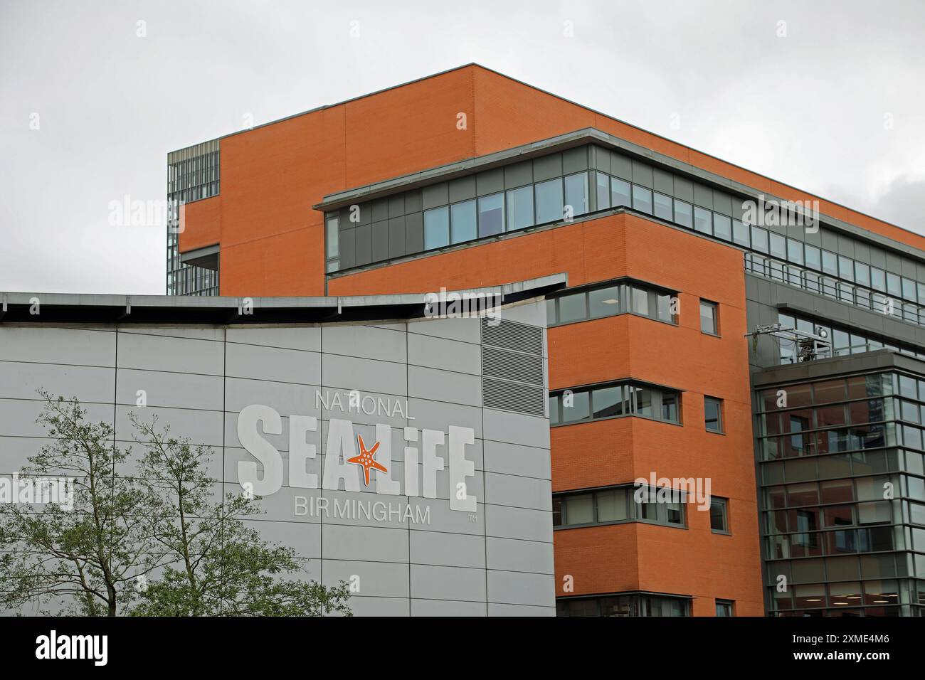 National Sea Life Centre in Birmingham Stock Photo - Alamy